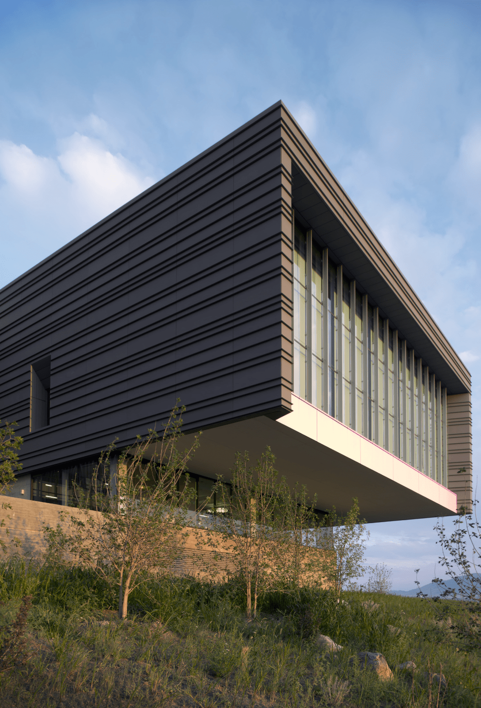 portfolio adobe headquarters